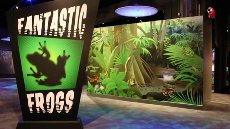 La maravillosa experiencia en Discovery Place Science - Progreso ...